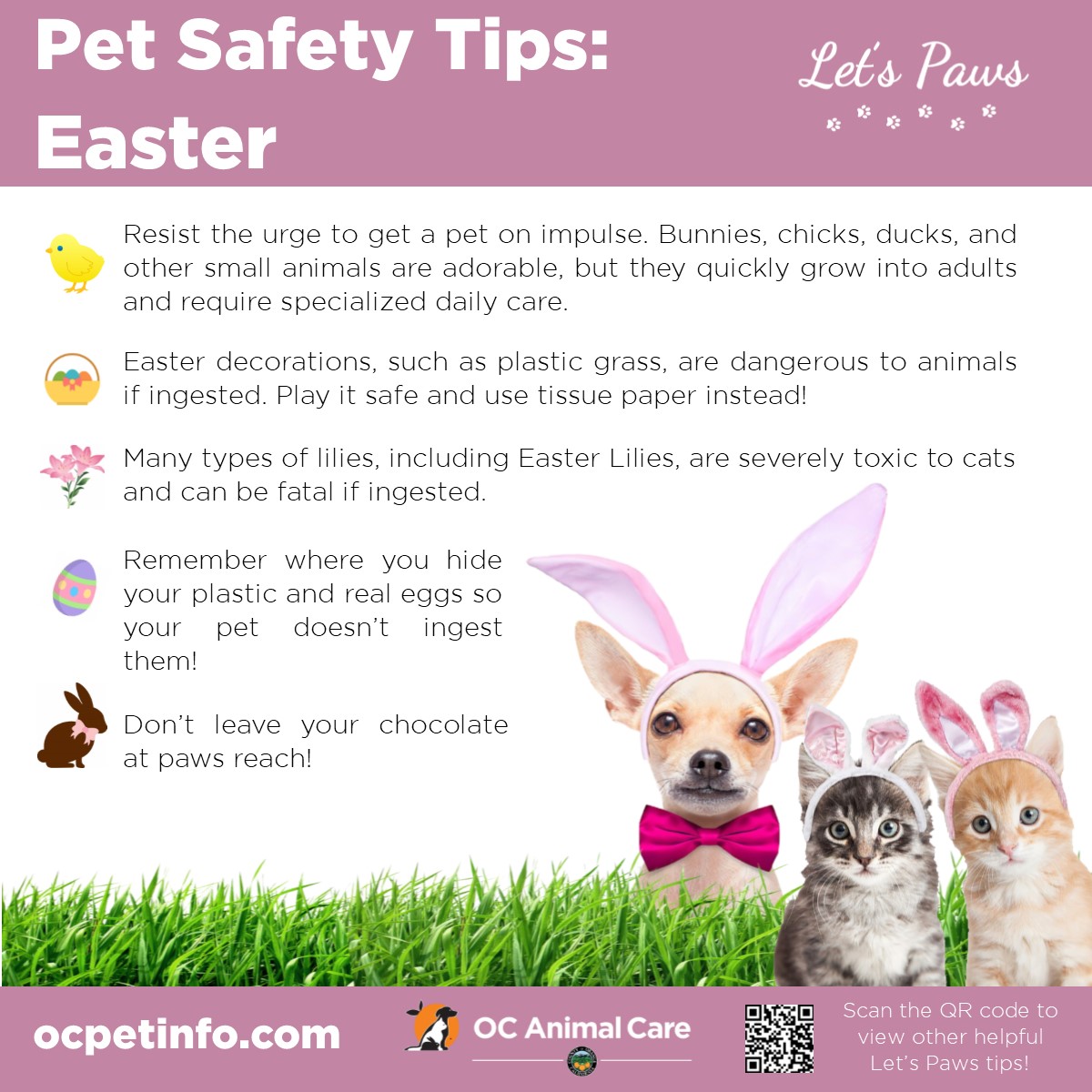 Let's Paws | OC Animal Care