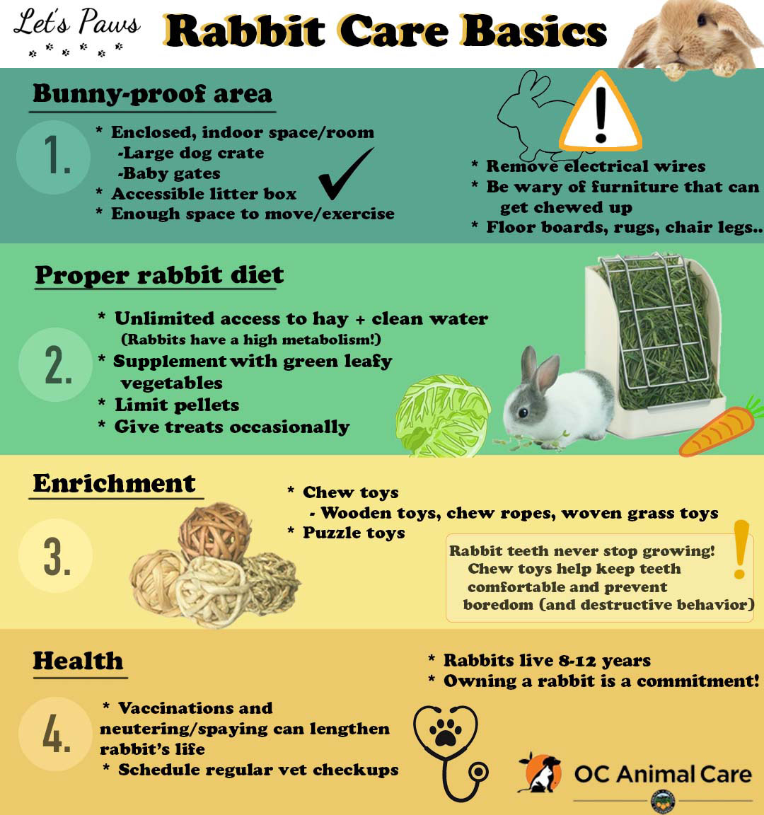 Let's Paws | OC Animal Care