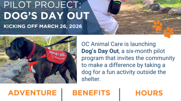 OC Animal Care Launches Dog's Day Out | OC Animal Care