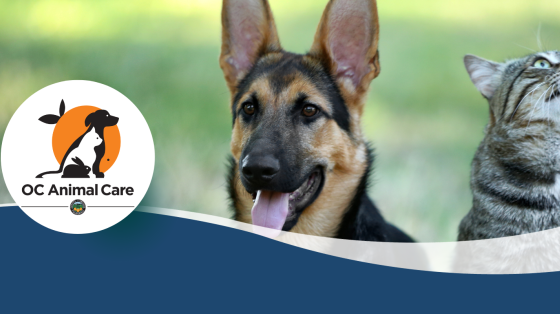 OC Animal Care | OC Animal Care