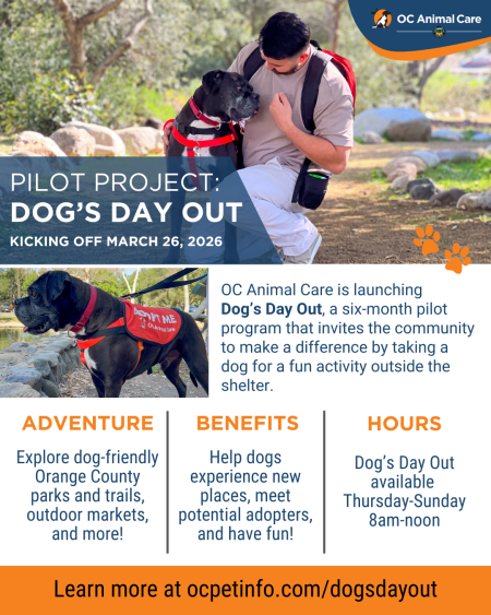 OC Animal Care Launches Dog's Day Out | OC Animal Care